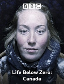Life Below Zero: (Canada) - Belgesel - beIN CONNECT