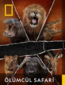 Killer Safari - 1.Sezon 2.Bölüm HD İzle