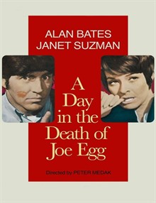 Joe Egg'in Ölümünden Bir Gün - Drama - TOD